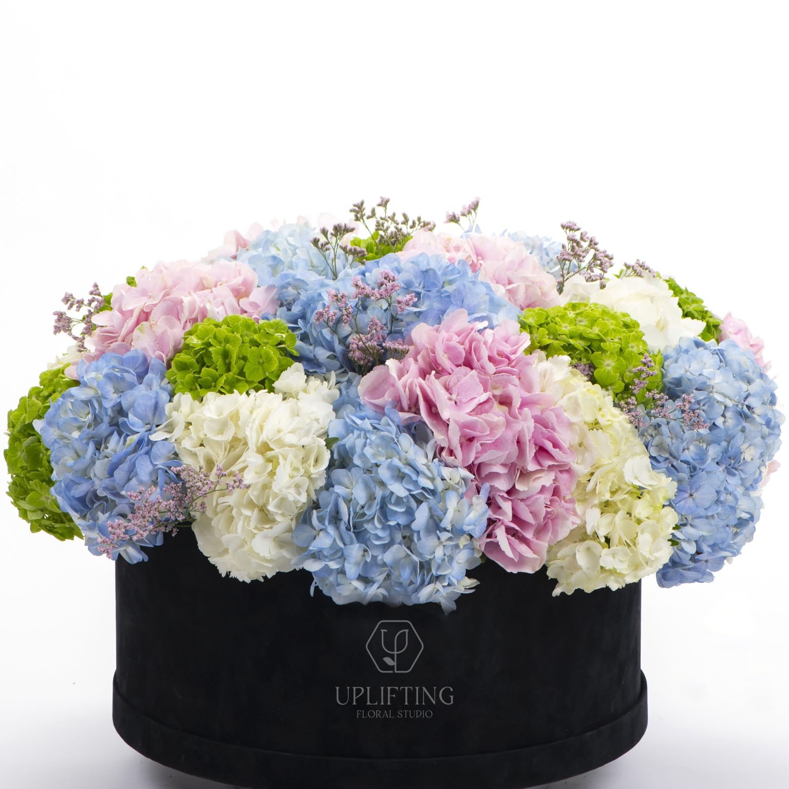 Mix Hydrangea Box Arrangement - uplifting floral studio